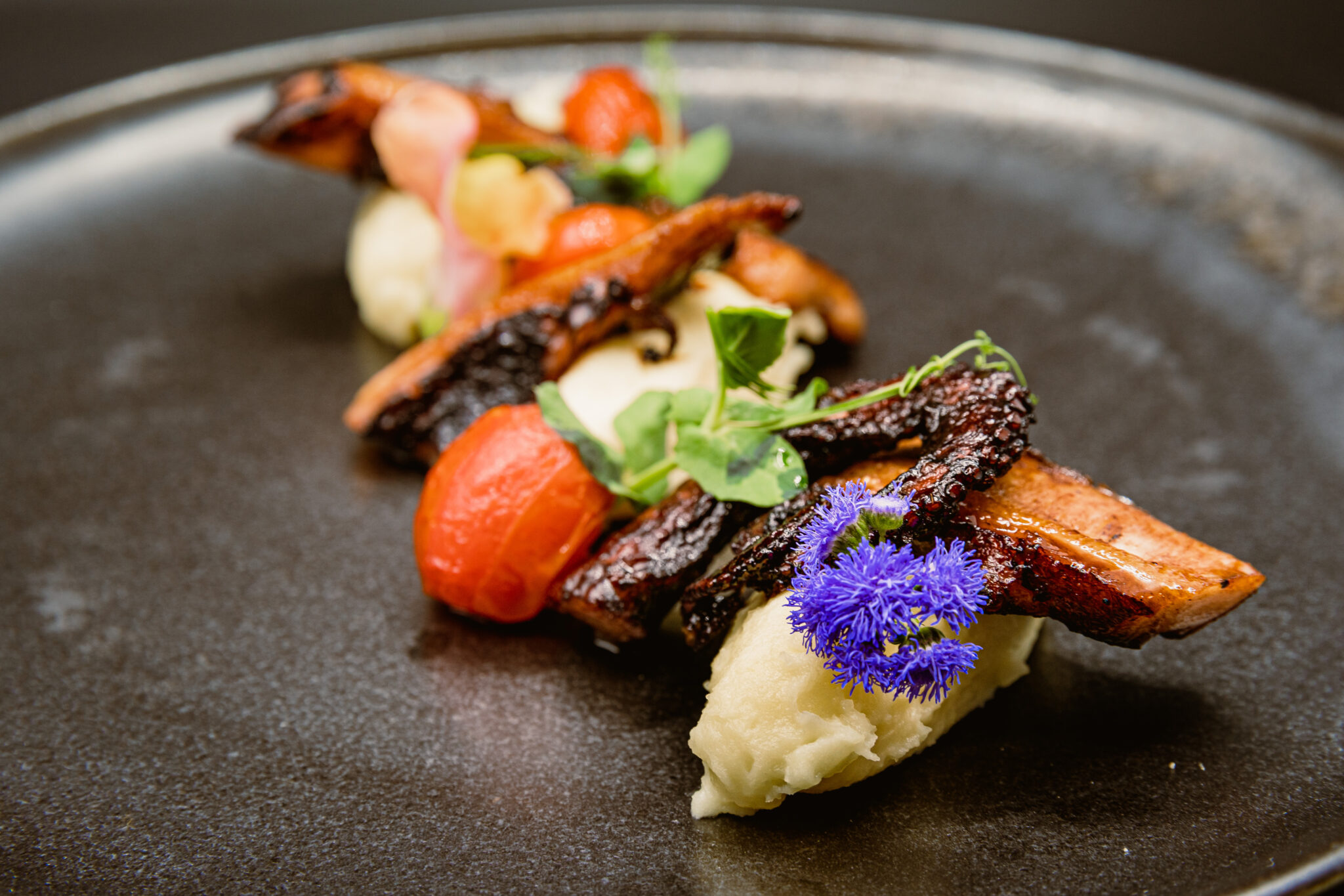 Home Page - Il Giardino di Ghilot